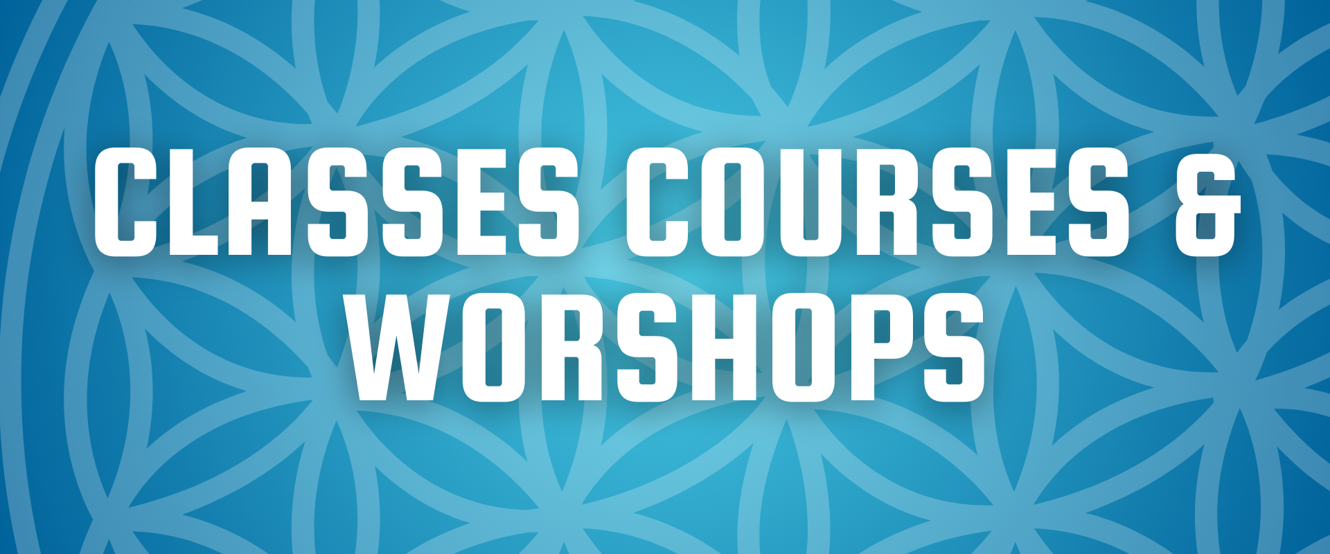 Elevation Foundation – EXPLORE. EXPAND. EVOLVE.