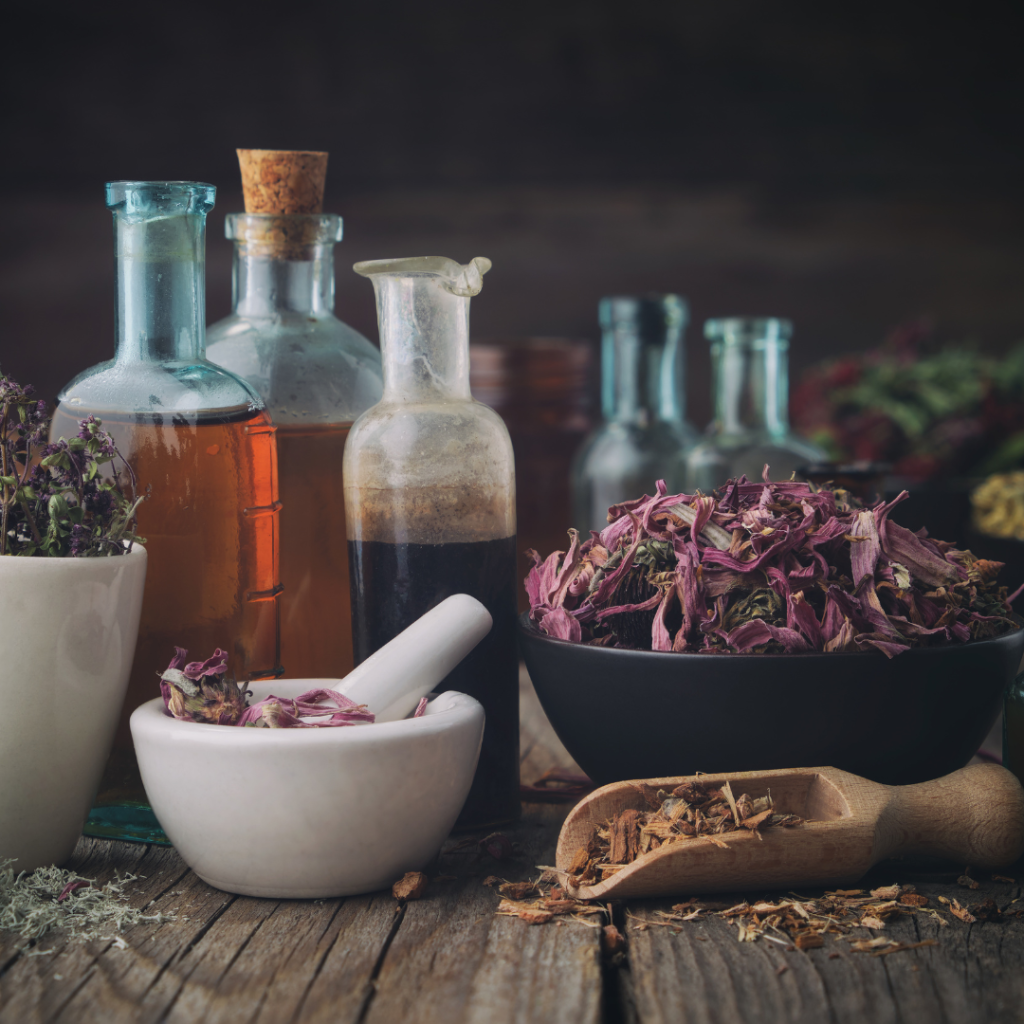 Elevation Foundation – EXPLORE. EXPAND. EVOLVE.